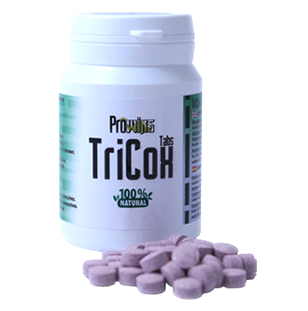 TricoX y SalmoX Tabs – NL - Mercasystems.com Blog
